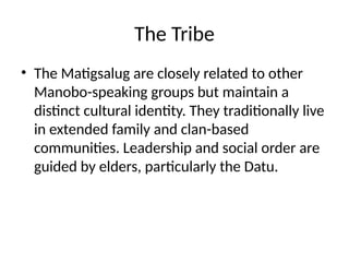 Matigsalug Tribe Presentation. gjfxkuyfituye4 | PPTX