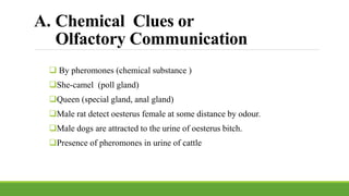 Mating and social behaviors of different species | PPTX