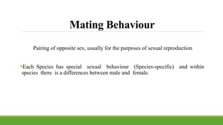 Mating and social behaviors of different species | PPTX