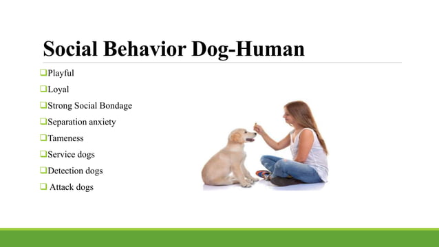 Mating and social behaviors of different species | PPTX | Reproductive ...