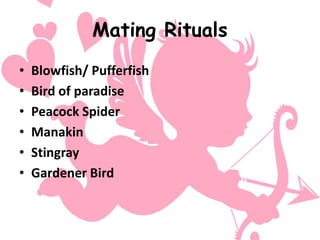Mating rituals | PPT