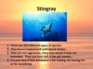 Mating rituals | PPT