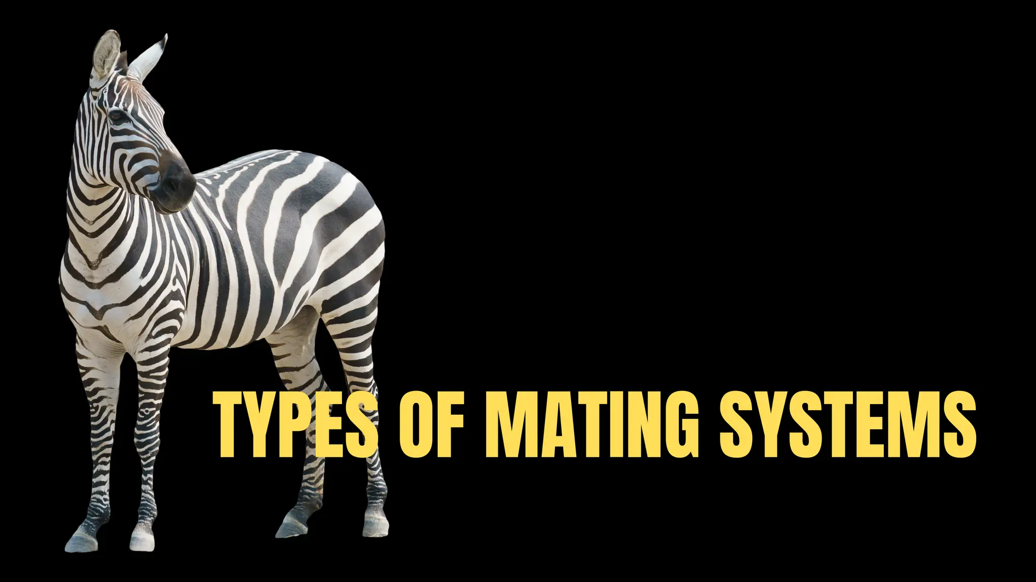 Mating Systems in Animal Breeding - Animal Physiology and Anatomy | PDF