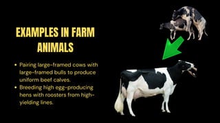 Mating Systems in Animal Breeding - Animal Physiology and Anatomy | PDF