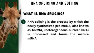 Matium_Cellbio-Cellcylesanditscheckpoints.pptx