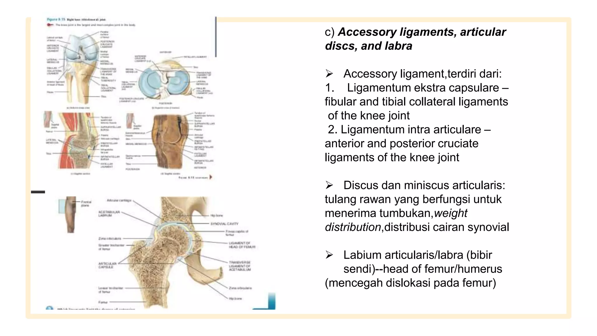 Anatomi Sendi pada Tubuh Manusia | PPTX