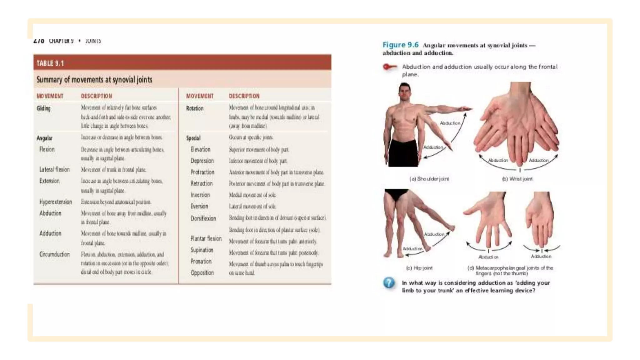 Anatomi Sendi pada Tubuh Manusia | PPTX