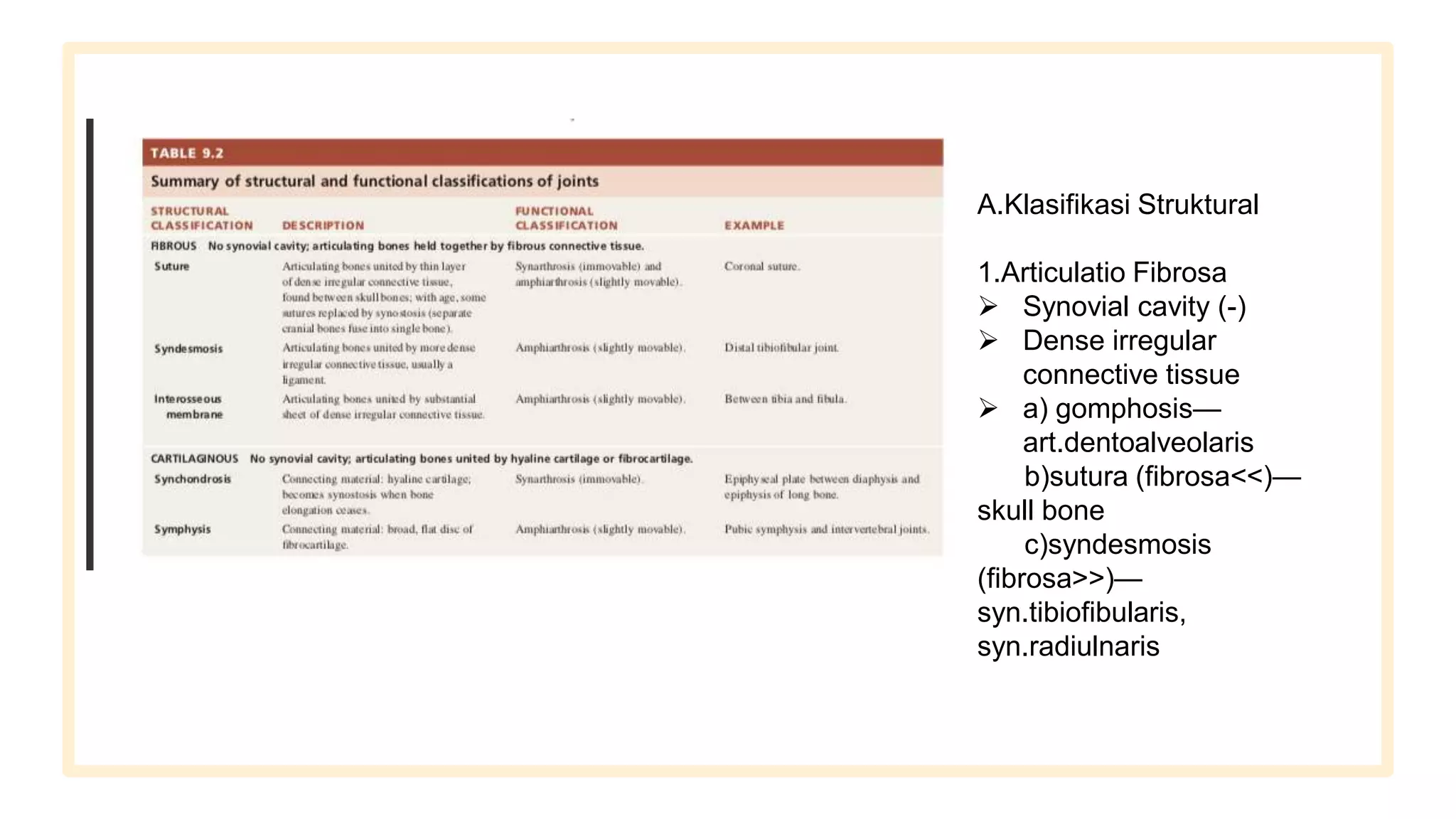 Anatomi Sendi Pada Tubuh Manusia Pptx
