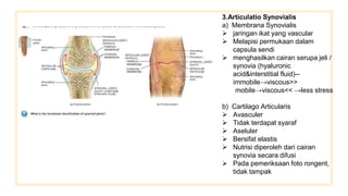 Anatomi Sendi pada Tubuh Manusia | PPTX