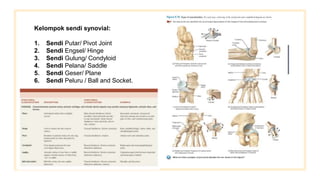 Anatomi Sendi pada Tubuh Manusia | PPTX