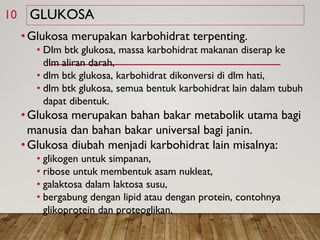 MATKUL BIOKIMIA T ( METABOLISME KARBOHIDRAT ).pdf