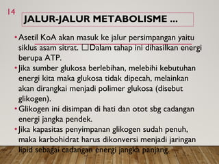 MATKUL BIOKIMIA T ( METABOLISME KARBOHIDRAT ).pdf
