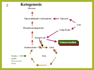 MATKUL BIOKIMIA T ( METABOLISME LIPID (3) ).pdf