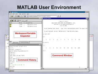 Matlab basics | PPT