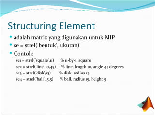 Matlab Untuk Pengolahan Citra | PPS
