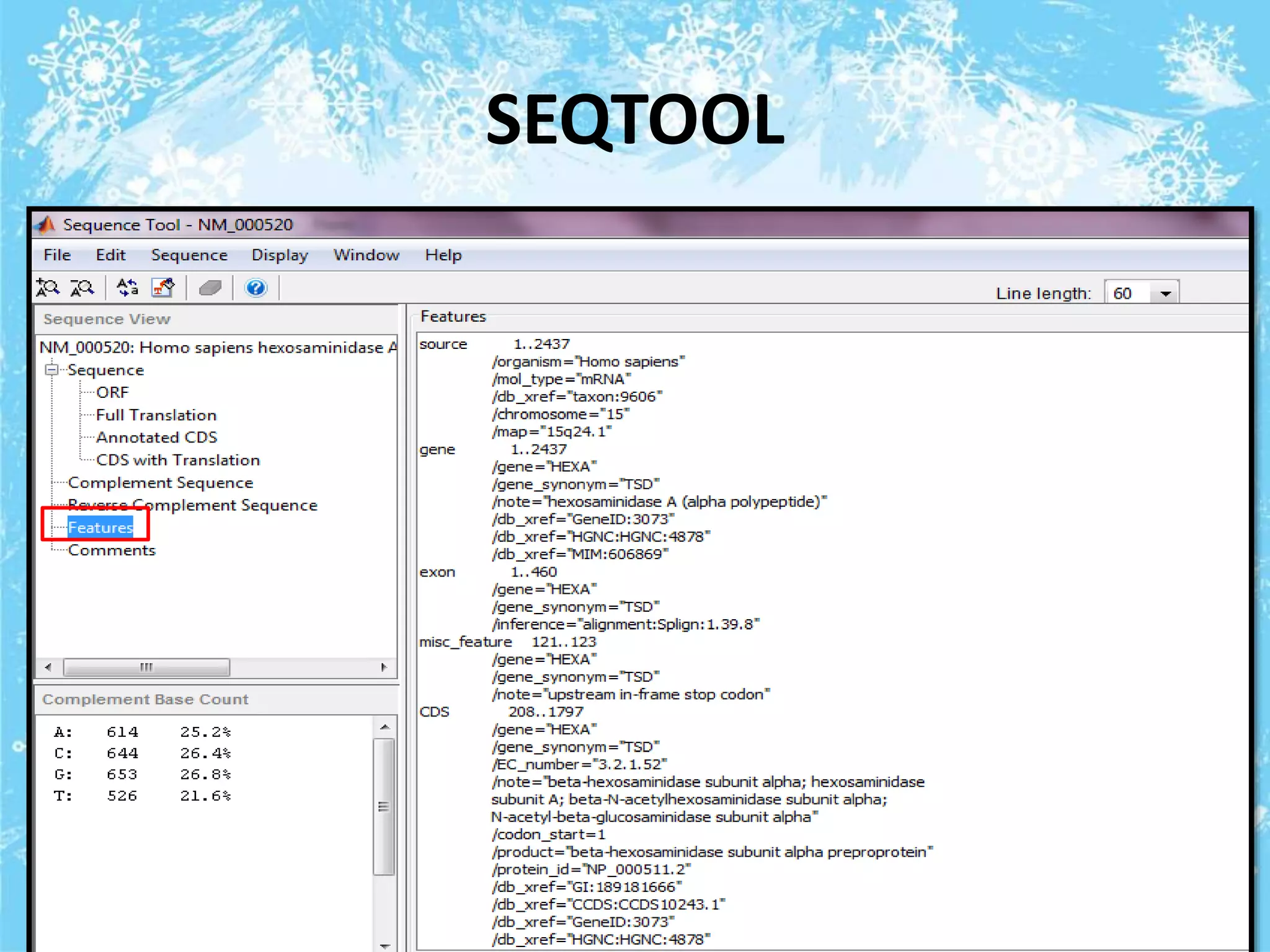 Matlab Bioinformatics Presentation Pptx Programming Languages Computing