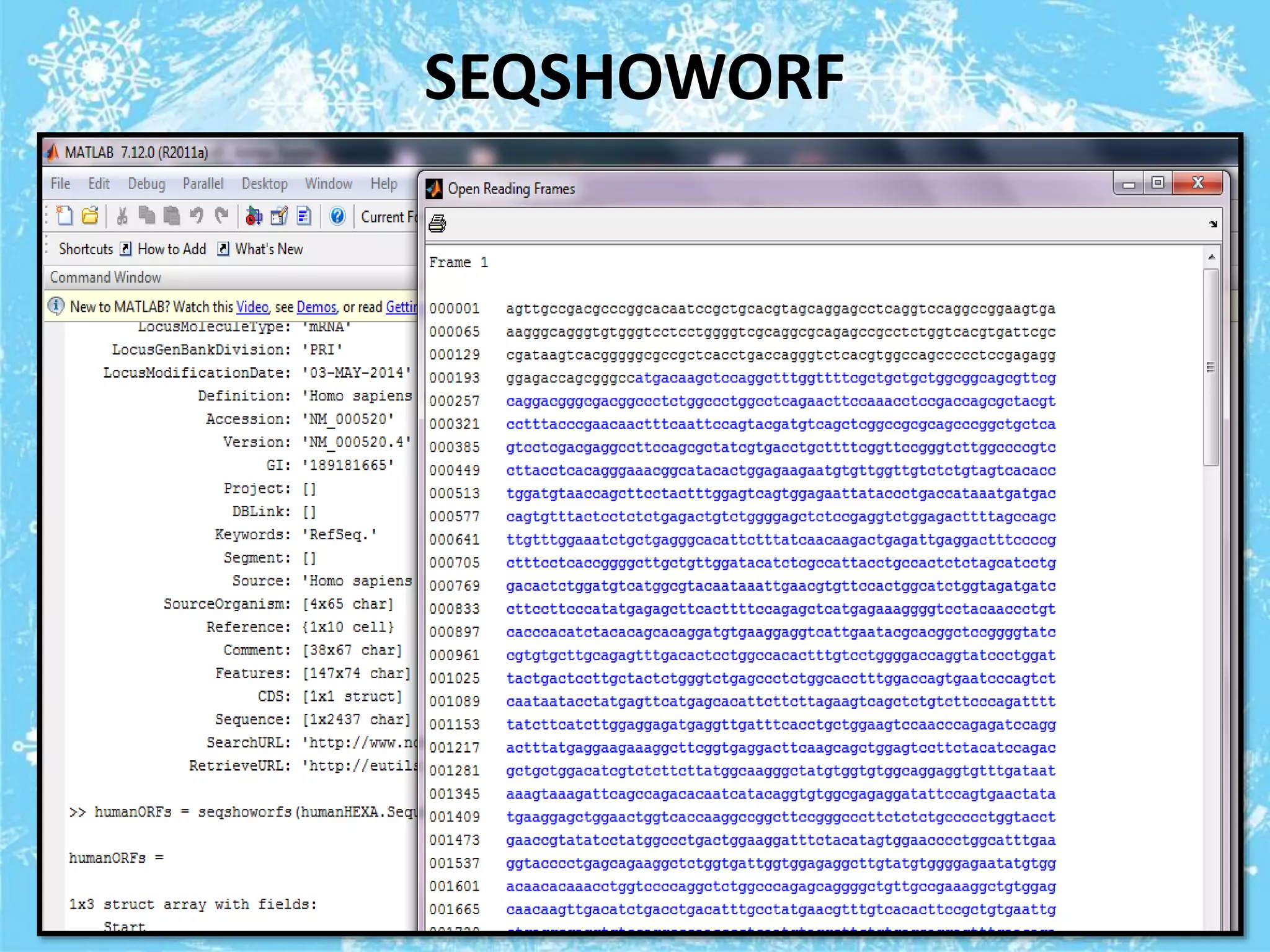Matlab Bioinformatics Presentation Pptx Programming Languages Computing