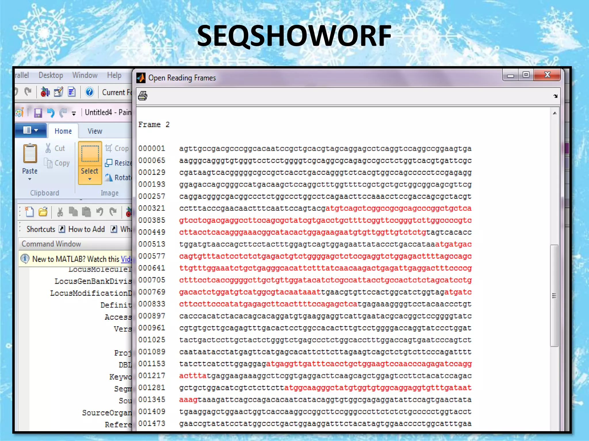 Matlab Bioinformatics Presentation Pptx Programming Languages Computing