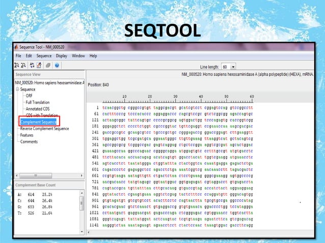 Matlab Bioinformatics Presentation Pptx Programming Languages Computing
