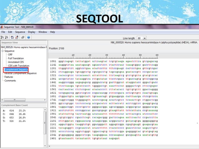 Matlab Bioinformatics Presentation Pptx Programming Languages Computing