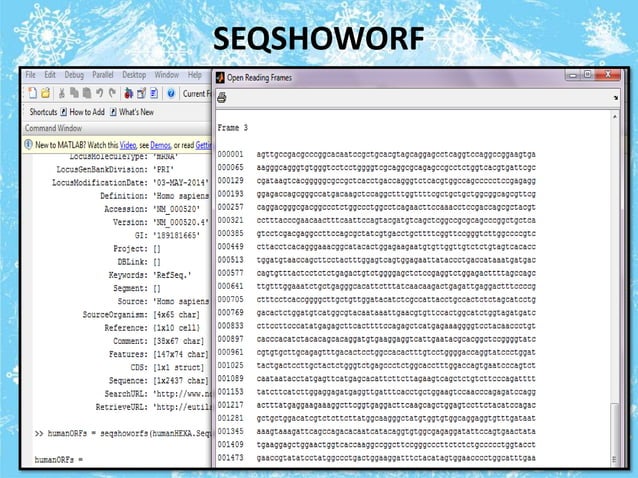 Matlab Bioinformatics Presentation Pptx Programming Languages Computing