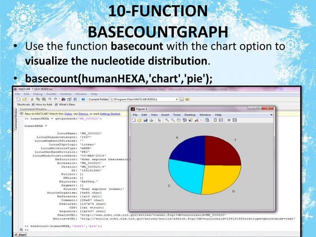 Matlab Bioinformatics Presentation Pptx Programming Languages Computing