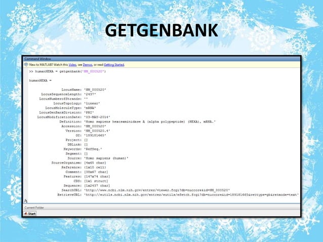 Matlab Bioinformatics Presentation Pptx Programming Languages Computing