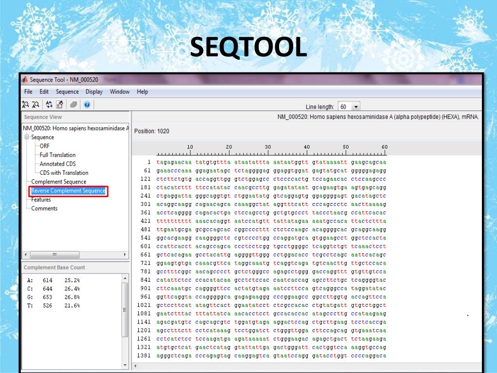 Matlab Bioinformatics Presentation