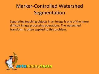 Matlab Feature Extraction Using Segmentation And Edge Detection | PPTX