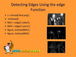 Matlab Feature Extraction Using Segmentation And Edge Detection | PPTX