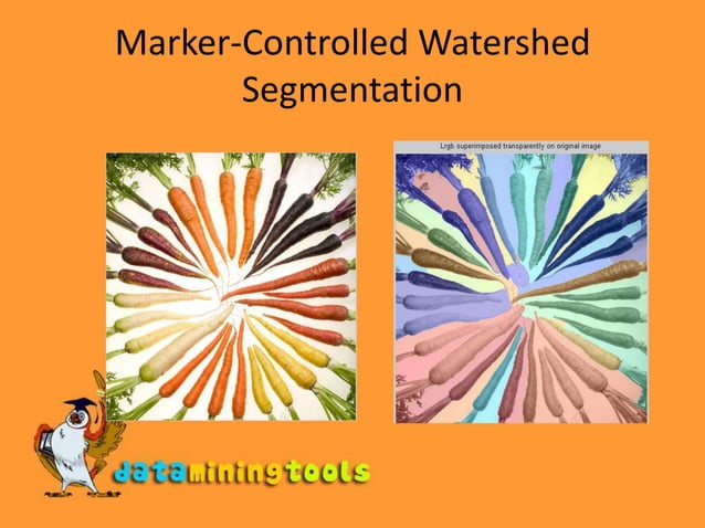 Matlab Feature Extraction Using Segmentation And Edge Detection | PPTX
