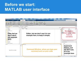 Matlab for marketing people | PDF | Programming Languages | Computing