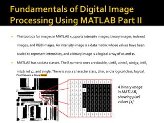 Getting started with Matlab by Hannah Dotson, Vikram Kodibagkar laboratory | PPT
