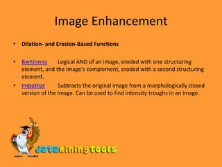Matlab Image Enhancement Techniques | PPTX