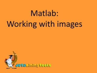 Matlab Working With Images | PPTX | Photo Editing Software | Computer Software and Applications