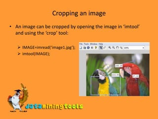 Matlab Working With Images | PPTX
