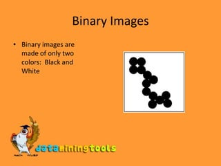 Matlab Working With Images | PPTX | Photo Editing Software | Computer Software and Applications