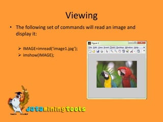 Matlab Working With Images | PPT