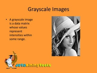 Matlab Working With Images | PPT