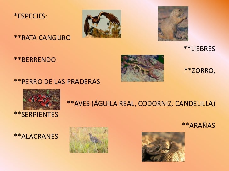 Matorrales y pastizales