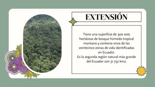 matorral seco.pdf