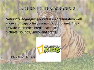 MAT PPT: Bengal Tiger | PPTX | Large Animals | Pets