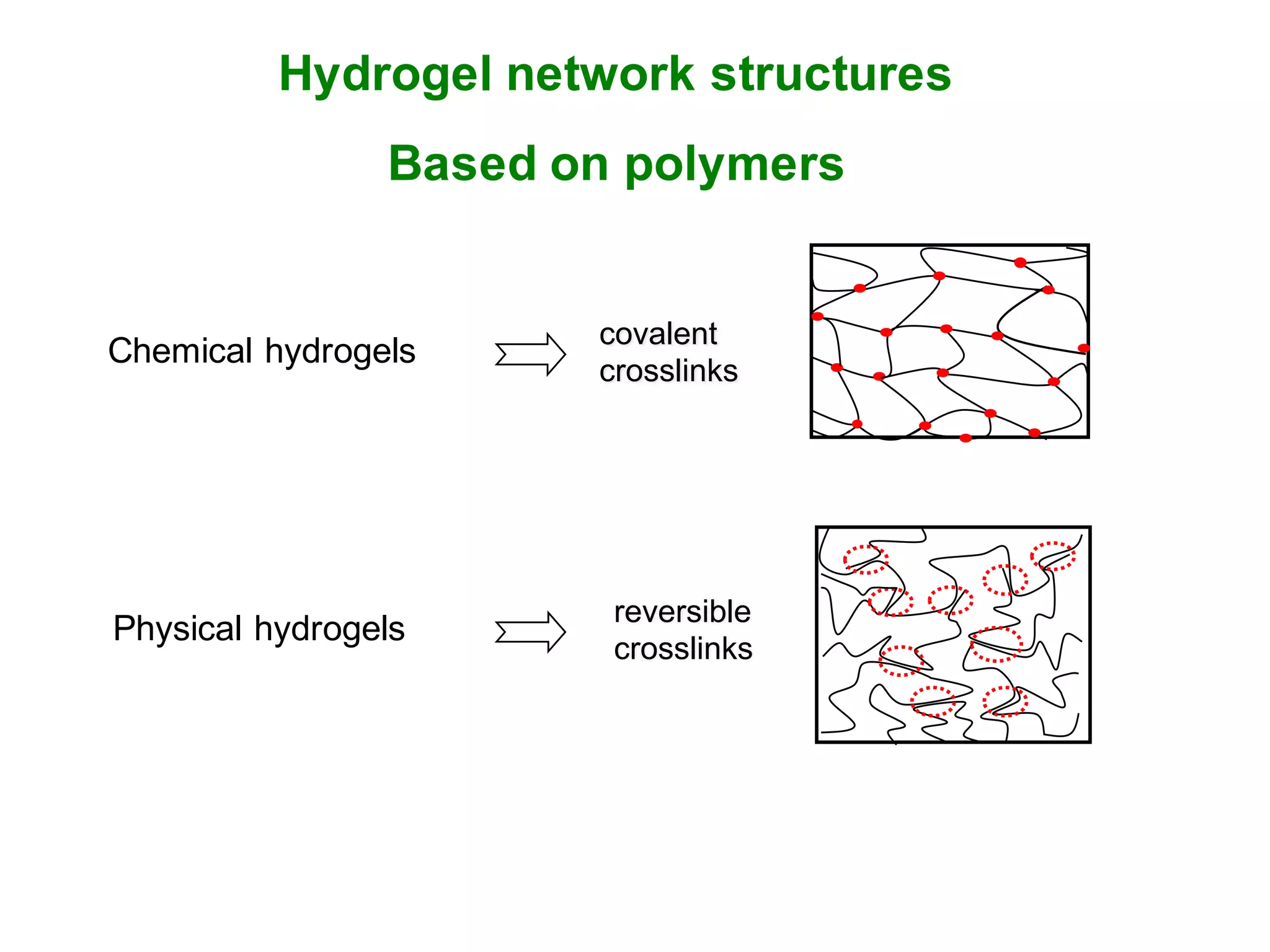Polysaccharide Hydrogels: a versatile tool for biomedical and ...