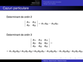 Matrice determinanti sisteme liniare | PDF