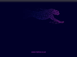 Quant Developer Career Entry Guide | Matrice.co.uk