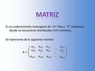 Matrices | PPTX