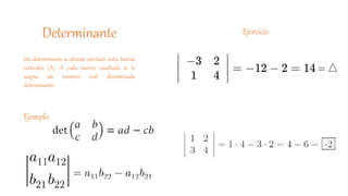 Matrices, determinante, inversa y adjunta. | PDF