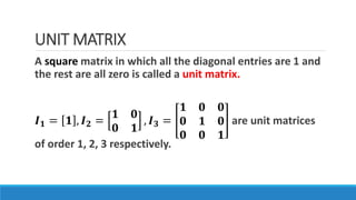 MATRICES_STANDARD11_AngelselciyaB.ed.pptx