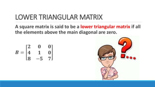 Matrices Standard11 Angelselciyab.ed.pptx