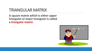 MATRICES_STANDARD11_AngelselciyaB.ed.pptx